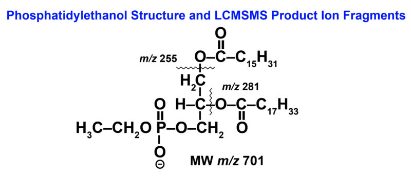 What is Phosphatidylethanol (PEth)? - USDTL